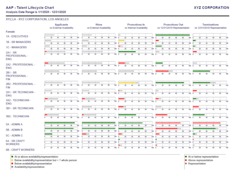 Affirmity | How TotalView Helps You Maximize Management Visibility of AAPs